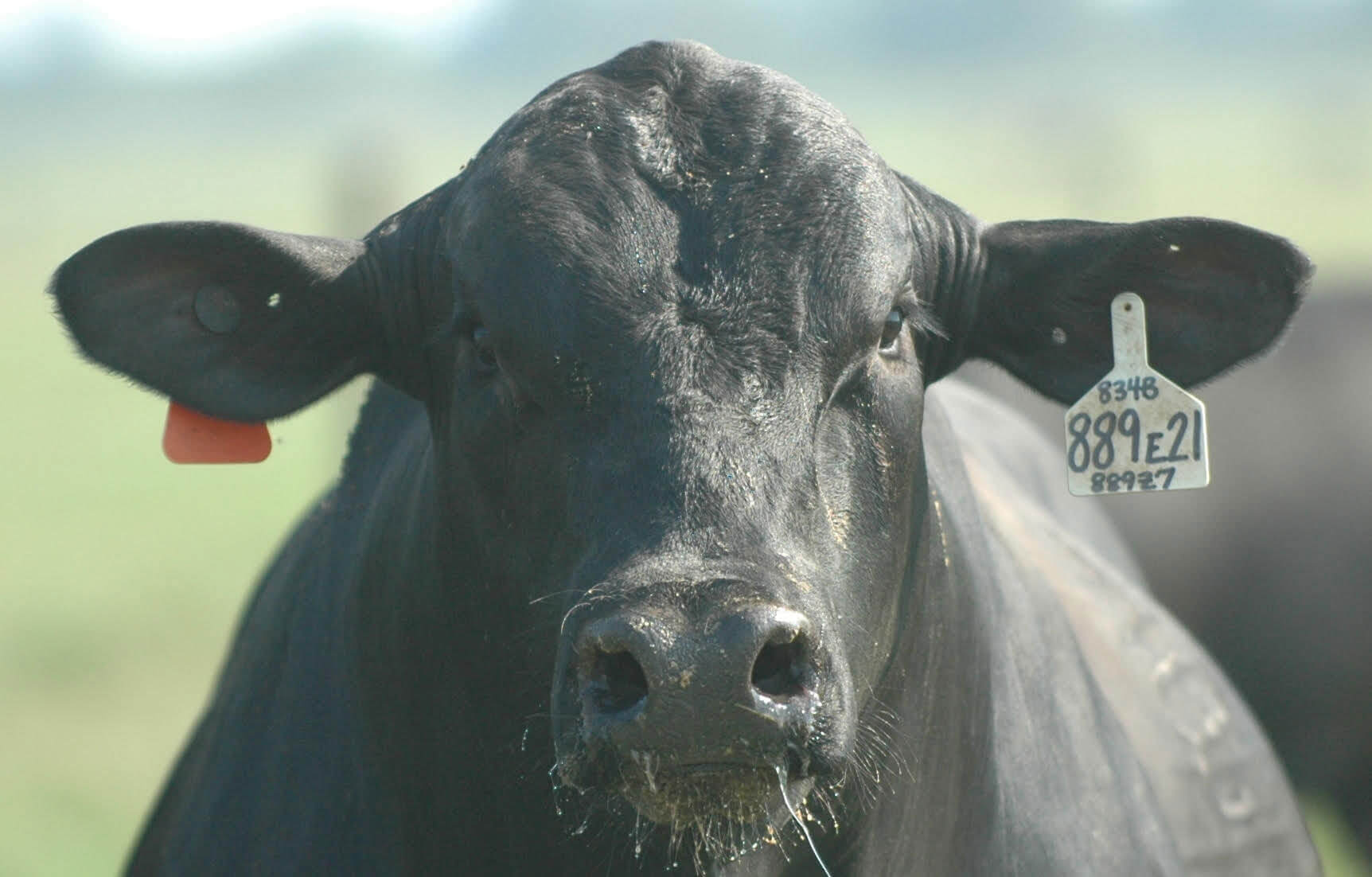 Home - The Branch Ranch